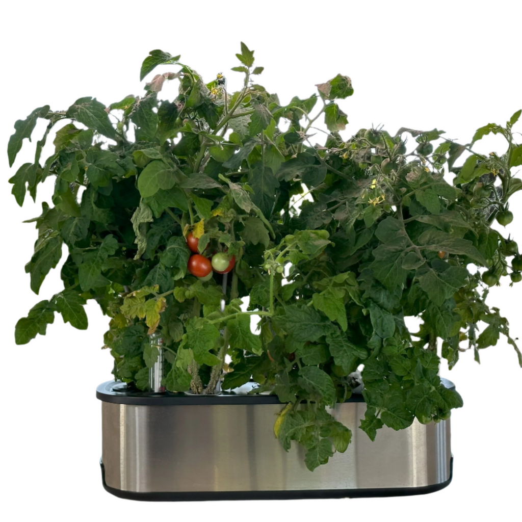 West Kent 12-Pod Indoor Smart Garden Hydroponic Growing System